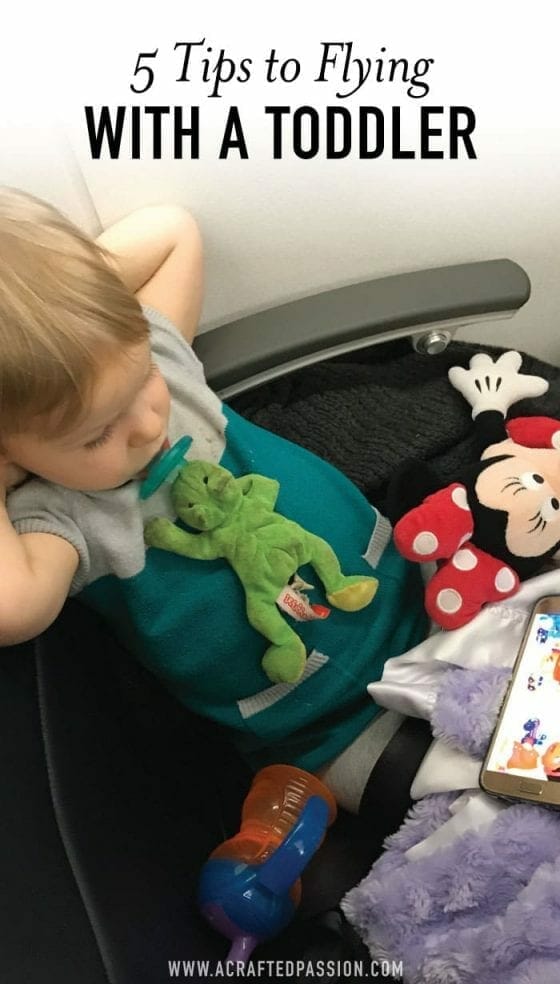 5 Tips to Successfully Fly with a Toddler Stress-Free