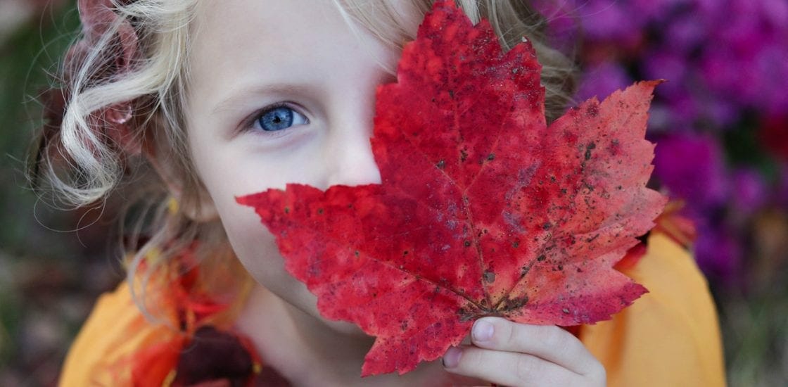 Capturing Memories: Making Autumn Keepsakes with Photography