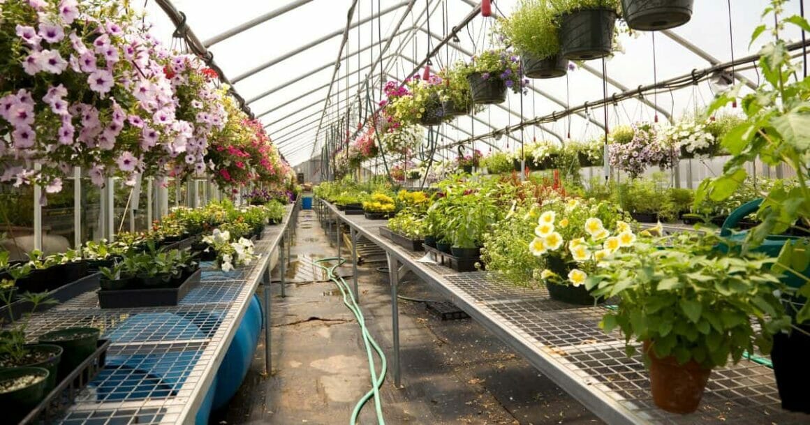 Create Efficient Storage in Your Greenhouse with DIY Shelving