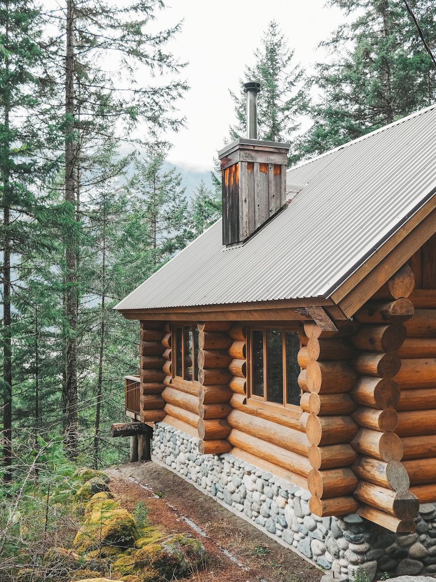 Log Cabin Thermography Inspection Benefits Explained