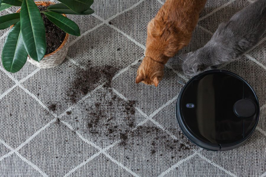 Automated Vacuum Cleaners Are Pet-Safe: Here's How